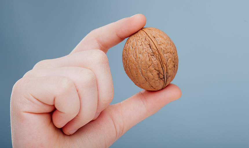 Nutshell Games Competition - Roanoke College