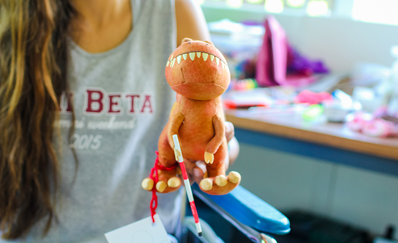 Toy Like Me - Roanoke College