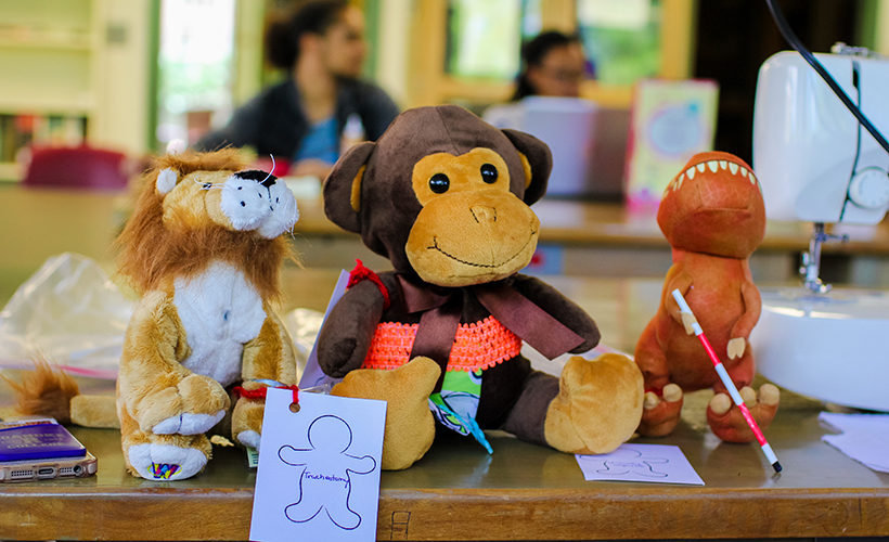 Toy Like Me - Roanoke College