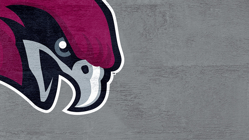 Maroon Regiment Marching & Spirit Bands