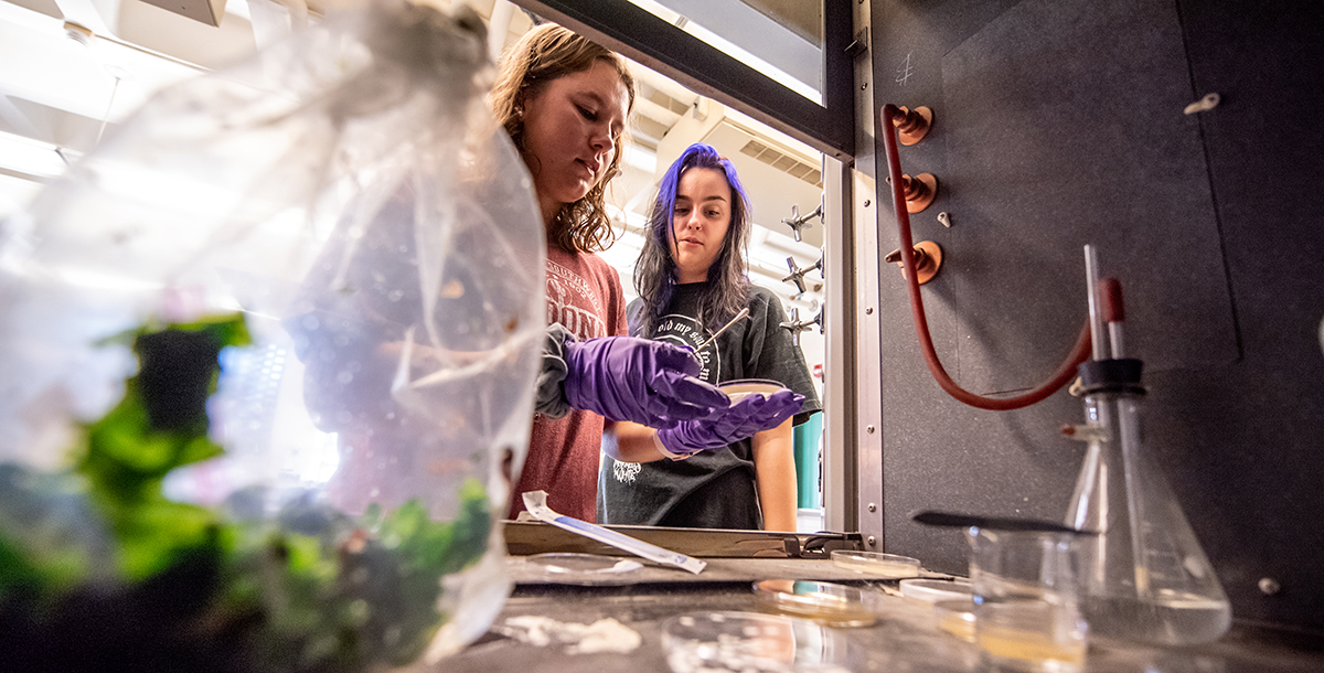 Next-Generation Science Center | Roanoke College